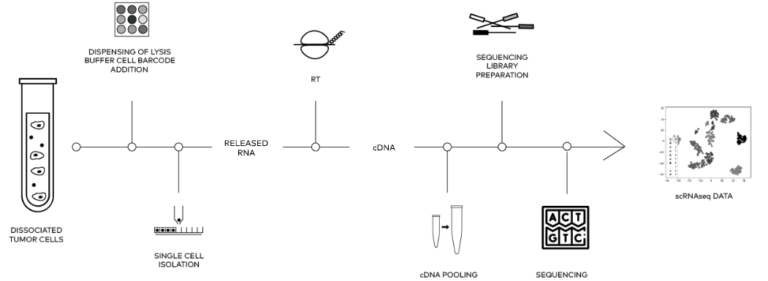 Single Cell Omics - Cellenion